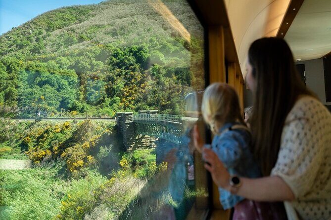 Queenstown to Dunedin with Taieri Gorge Train One-Way Tour - Practical Details and Considerations