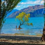 Queenstown to Wanaka Small-Group Tour (one-way) - Detailed Breakdown of the Itinerary