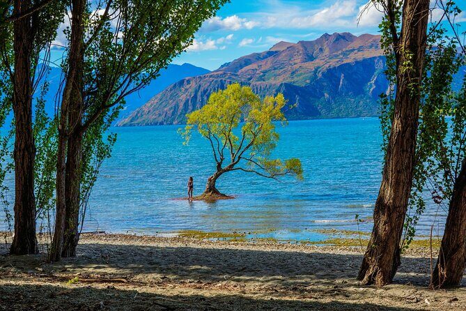 Queenstown to Wanaka Small-Group Tour (one-way) - Detailed Breakdown of the Itinerary
