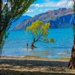Queenstown to Wnaka One Way Small Group Tour - The Route and Highlights: What You’ll Experience