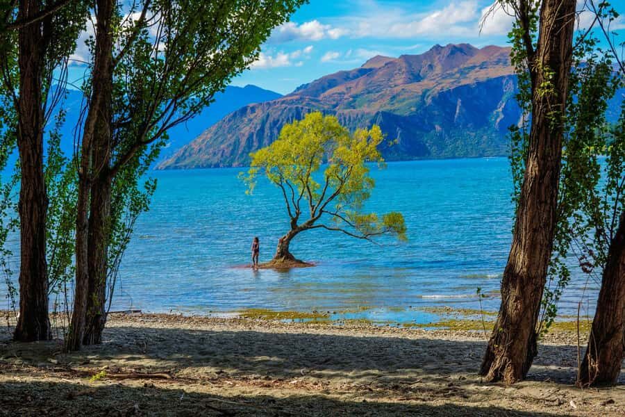 Queenstown to Wnaka One Way Small Group Tour - The Route and Highlights: What You’ll Experience