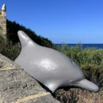 Quest Experience in Cottesloe Beach Perth Pirates by the Sea - What’s Included and What You Should Know