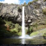 Raglan New Zealand Adventure Tour from Auckland - What Travelers Love About This Tour