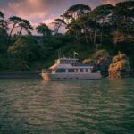 Raglan Scenic Nature Boat Cruise - Practical Details and Tips