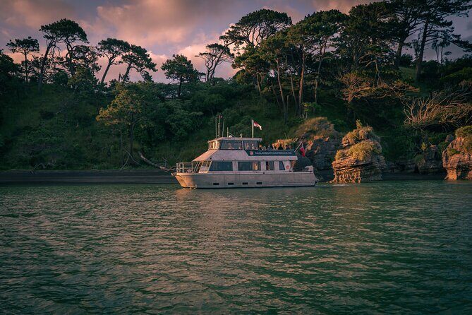 Raglan Scenic Nature Boat Cruise - Practical Details and Tips