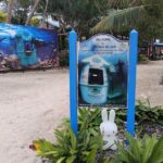 Raru Cascade, Lunch at Blue Lagoon and Hideaway Island Escape - Exploring Raru Waterfalls: Nature’s Hidden Gem