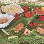 Reef Discovery Private Dream Day Tour - The Cost and Value Analysis