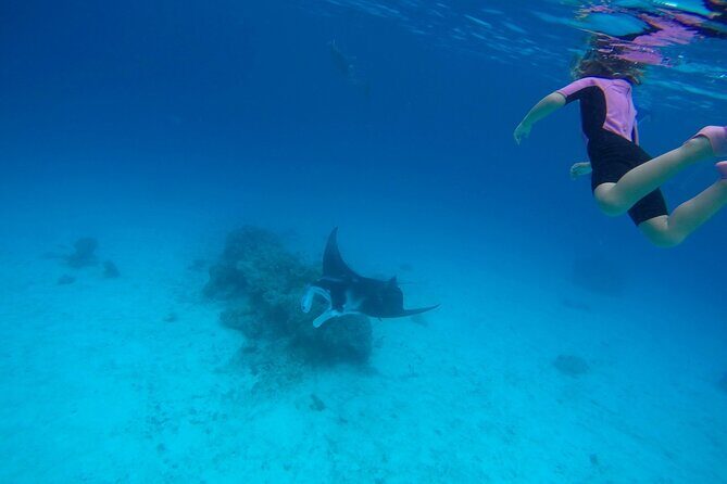 Reef Discovery Private Full Day Lagoon Tour & Motu Lunch - Itinerary Breakdown: What to Expect Day