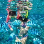 Reef Discovery Private Treasure Hunt - How the Itinerary Unfolds