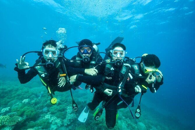 Reef Tour with SCUBA Dive from Cairns, pontoon with activities - Practical Aspects and Tips