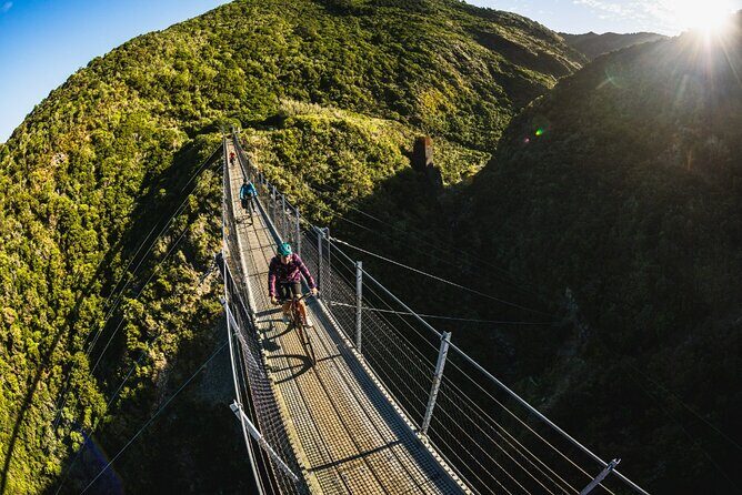 Remutaka Rail Trail eBike Explorer Cycle Tour - What Sets the Remutaka Rail Trail Apart?