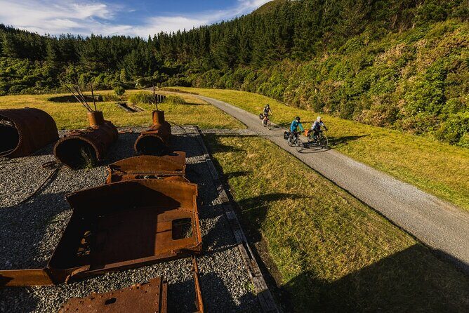 Remutaka Rail Trail Explorer - eBike Cruise Ship Shore Excursion - Real Experiences and Authentic Insights from Travelers