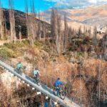 Ride Queenstowns Stunning Trails on a Mountain Bike - The Experience in Detail