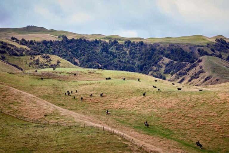 River Valley Lodge: High Country Enchantment Horse Trek - The Experience and Itinerary Breakdown