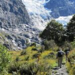 Rob Roy Glacier Guided Walk - Authentic Insights from Past Travelers