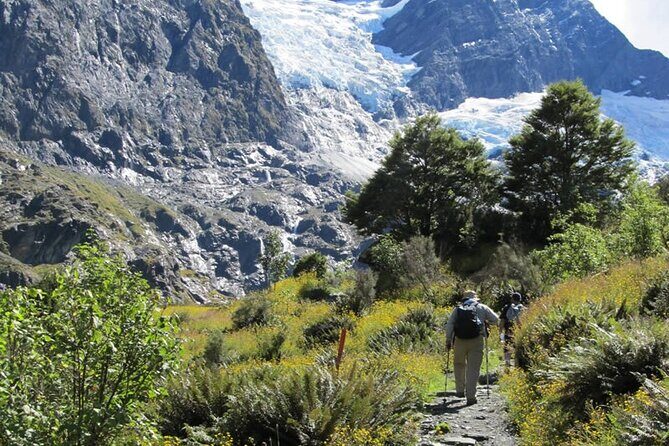 Rob Roy Glacier Guided Walk - Authentic Insights from Past Travelers