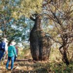 Roma: Landscape and Legacy Day Tour Including Lunch - Guided Experience and Group Size