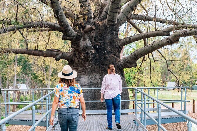 Roma Revelation Tour Experience - Pricing and Value