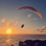 Romantic Auckland Sunset tour with Winery & Thermal pool - Practical Details and Why They Matter