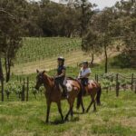 Romantic Horse Trail Ride with Wine and Food in Adelaide Hills - Who Will Love This Tour?