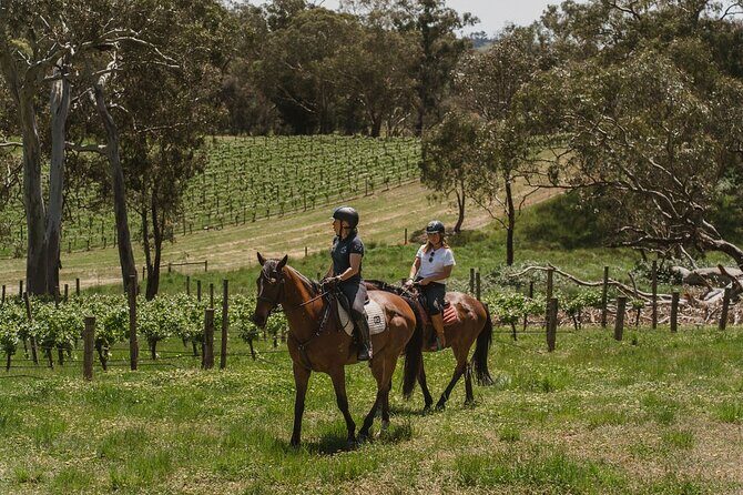 Romantic Horse Trail Ride with Wine and Food in Adelaide Hills - Who Will Love This Tour?