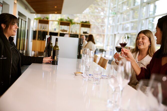 Romantic Vineyard Horse Riding and Picnic - Practical Details and Considerations