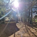 Roos, Blues & Views - Blue Mountains Day Tour w Lunch - Transportation, Duration, and Comfort