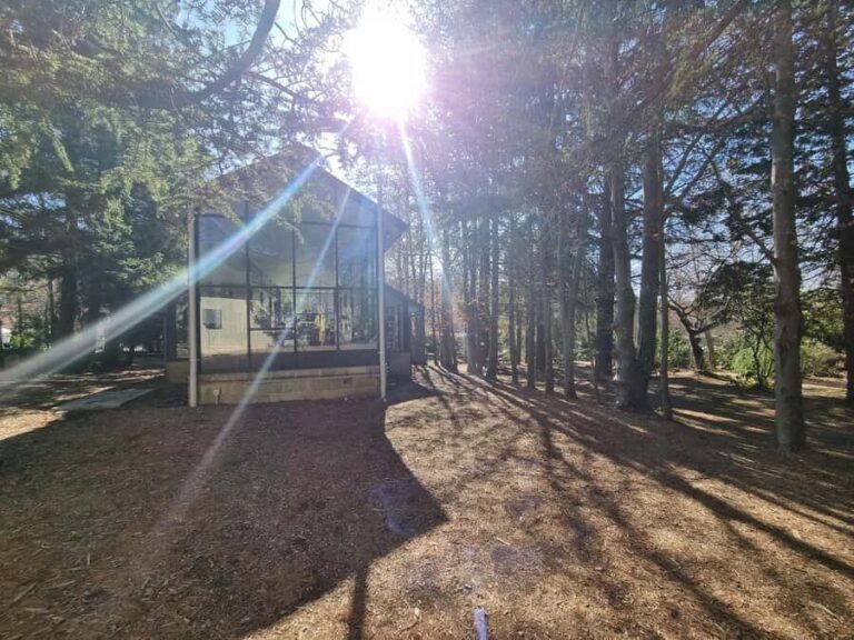 Roos, Blues & Views - Blue Mountains Day Tour w Lunch - Transportation, Duration, and Comfort