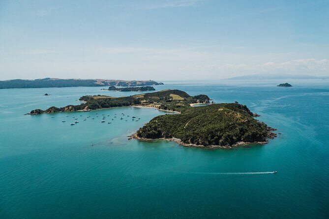 Rotoroa Island Ferry - from Auckland - The Experience in Detail