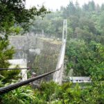 Rotorua and Waitomo - The Value of This Tour