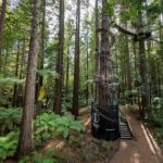 Rotorua: Redwoods Altitude High Ropes Adventure - The Itinerary: What to Expect