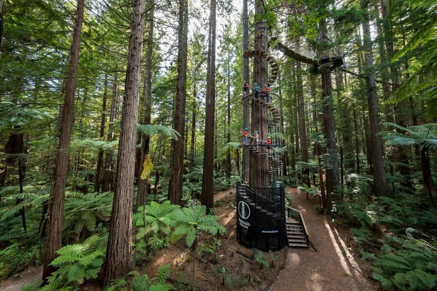 Rotorua: Redwoods Altitude High Ropes Adventure - The Itinerary: What to Expect