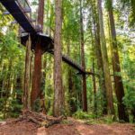 Rotorua & Taupo:Wai-O-Tapu, Redwood Walk & Hukka falls Tour - Transportation & Comfort