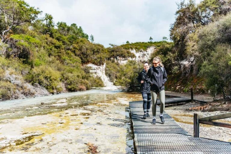 Rotorua: Wai-O-Tapu Geothermal Park Entry Ticket - Who Should Consider This Tour?