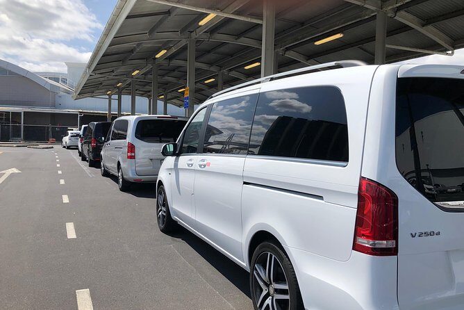 Rotorua & Waitomo caves day tours from Auckland - Authentic Insights from Reviews