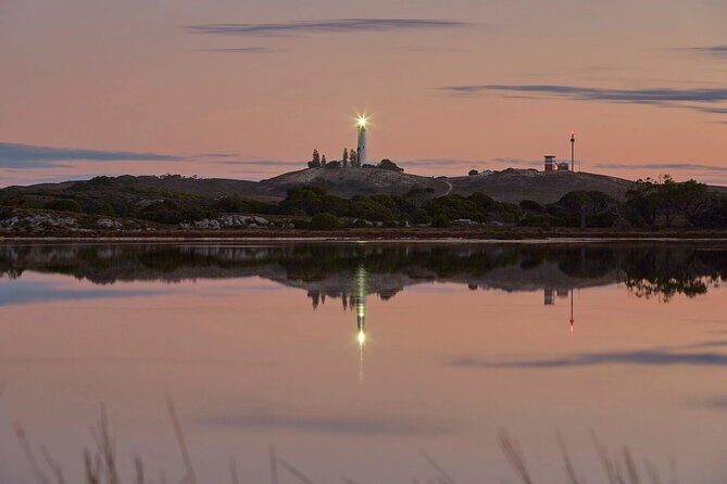 Rottnest Island Seals Sunset and West End Bus Tour - Practical Tips for Travelers