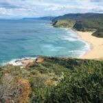 Royal National Park Hike, Swim and Wildlife Tour - Practical Details and Value