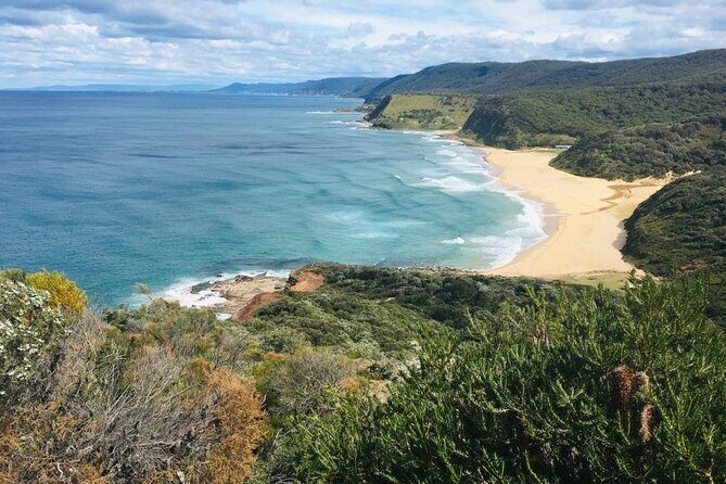 Royal National Park Hike, Swim and Wildlife Tour - Practical Details and Value