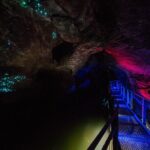Ruakuri Cave and Hamilton Gardens Private Day Tour from Auckland - A Detailed Breakdown of the Itinerary