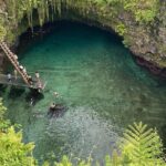 Samoa Apia: Cruise Ship Shore Excursion - Who Is This Tour Best For?