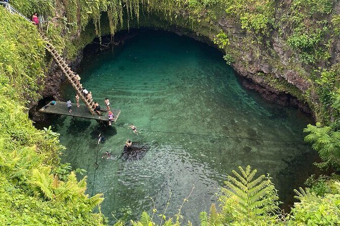 Samoa Apia: Cruise Ship Shore Excursion - Who Is This Tour Best For?