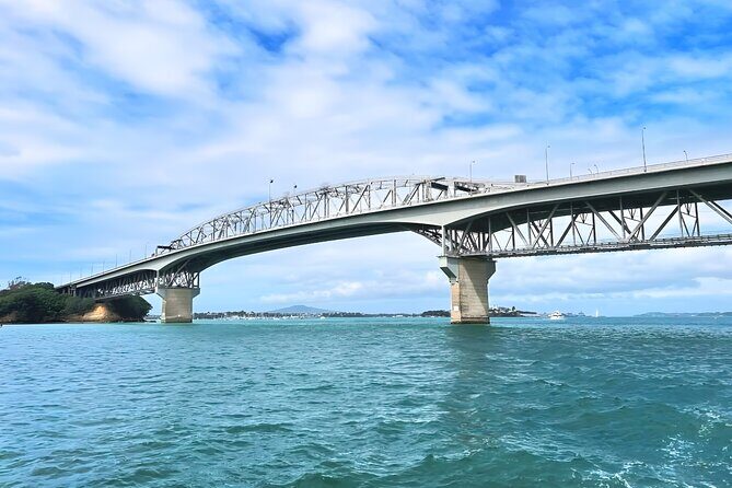 Scenic Harbour Cruise in Auckland - Who Will Love This Tour?