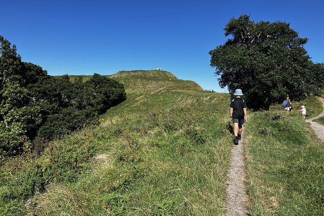 Scenic Short Hike Tour - Papamoa Hills and McLaren Falls - Transportation and Group Experience