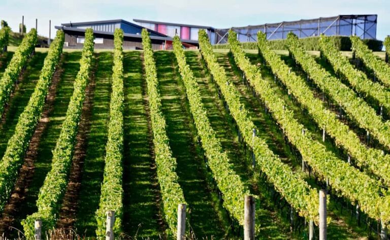 Sea, Land & Sky Premium Package - What Travelers Say: Honest Insights from Reviews