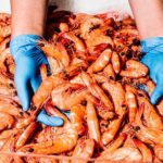 Seafood Discovery Class at Sydney Seafood School - Is this Tour Worth It?