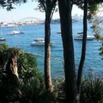 Secret Sydney: Hidden Beaches and Gardens - Who Is This Tour Best For?