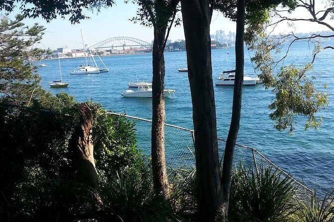 Secret Sydney: Hidden Beaches and Gardens - Who Is This Tour Best For?