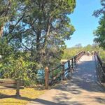 Secrets of Noosa Tour with Oceanview Lunch, Nature & Noosa River Ferry - Who Should Consider This Tour?