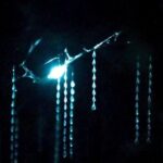 See Auckland's Secret Glow Worms - Why This Tour Is Worth Considering