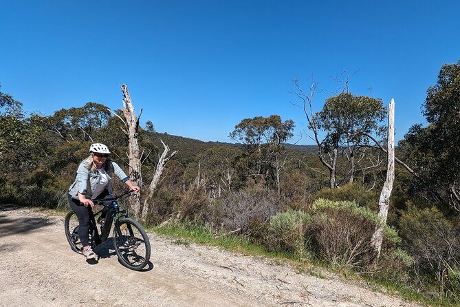 Self Guided Ebike Winery Tour in the Adelaide Hills - What Makes This Tour Stand Out?
